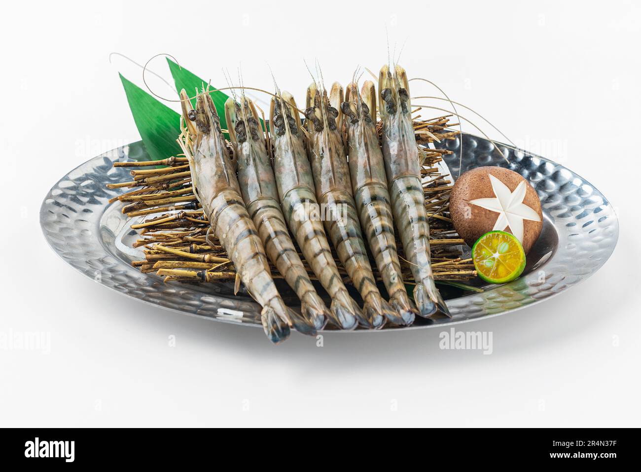 Fresh raw giant langoustine shrimp. for Japanese bbq or Korea bbq Stock ...