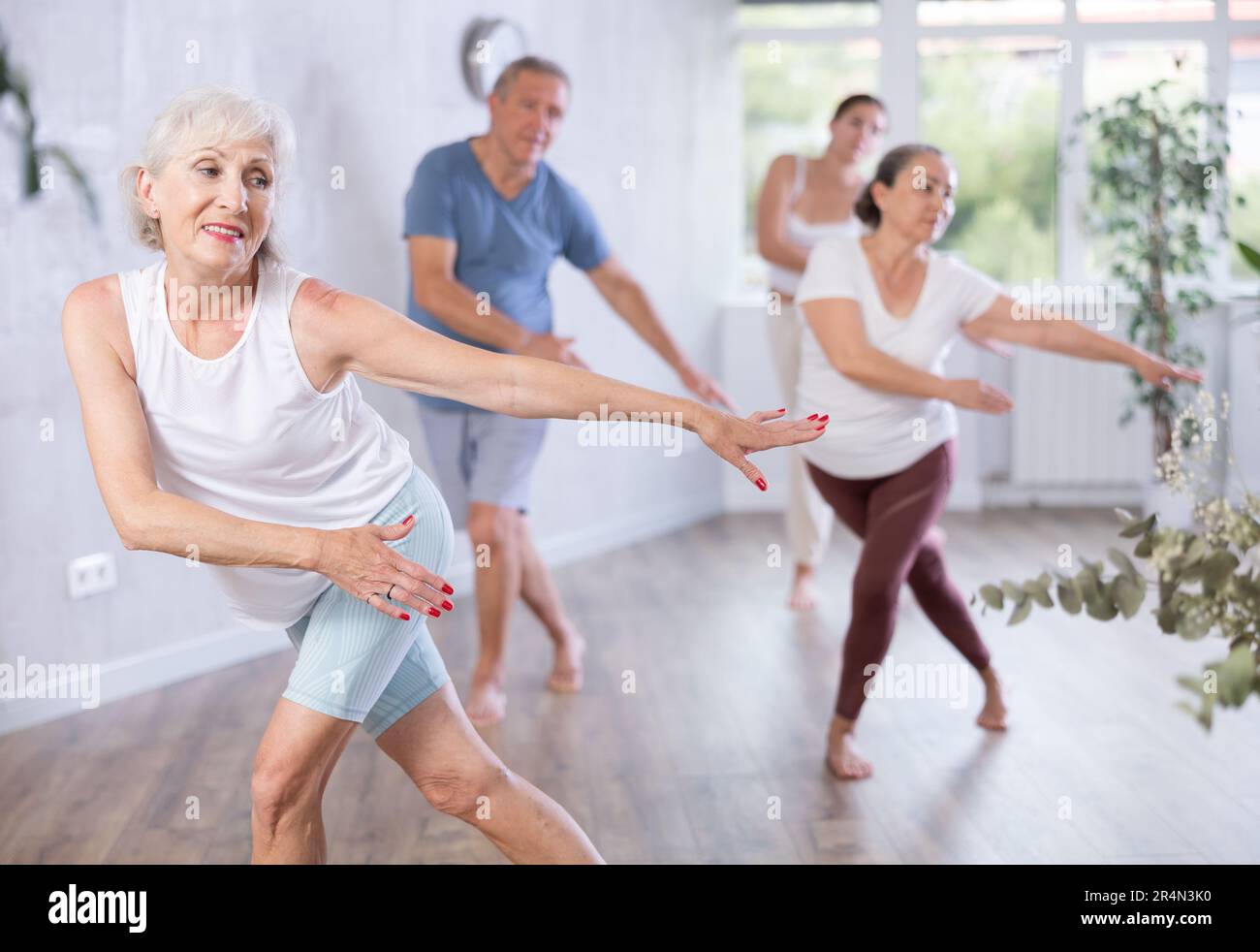 Group of elderly people dancing in fitness studio Stock Photo - Alamy