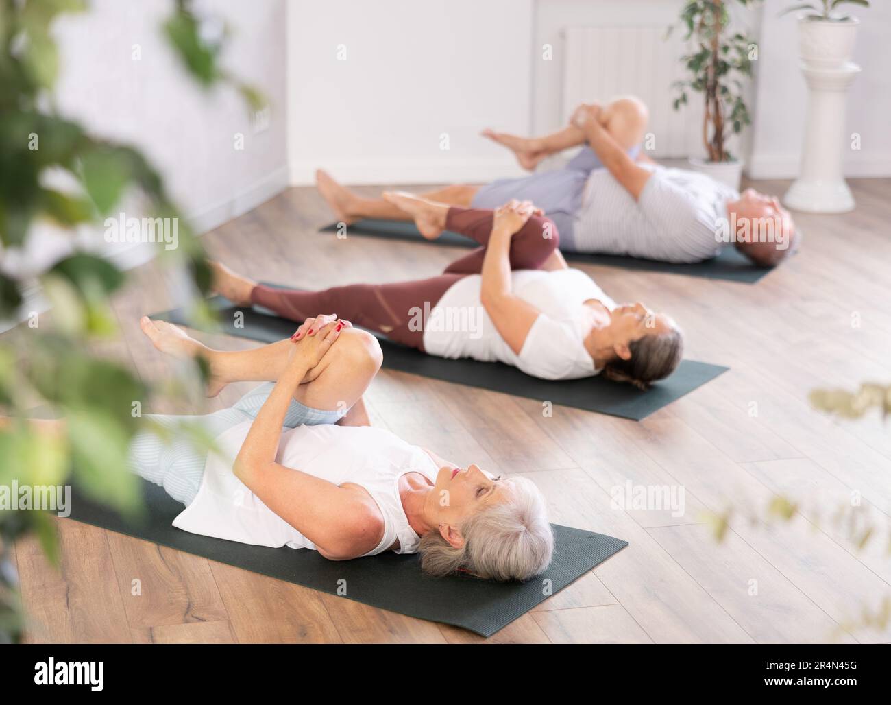 Group of elderly people doing yoga on mat in studio Stock Photo - Alamy