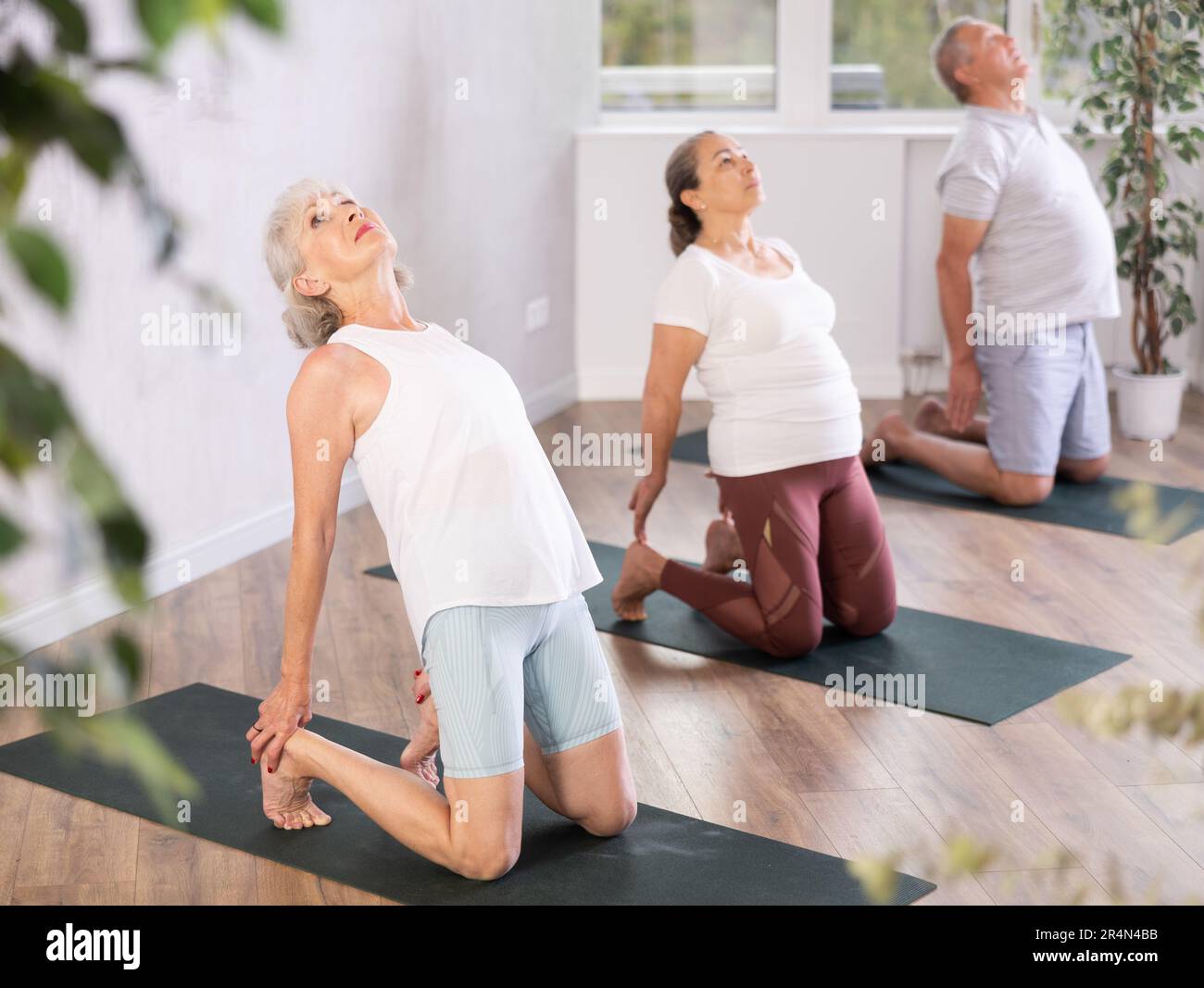 Group of elderly people doing yoga on mat in studio Stock Photo - Alamy