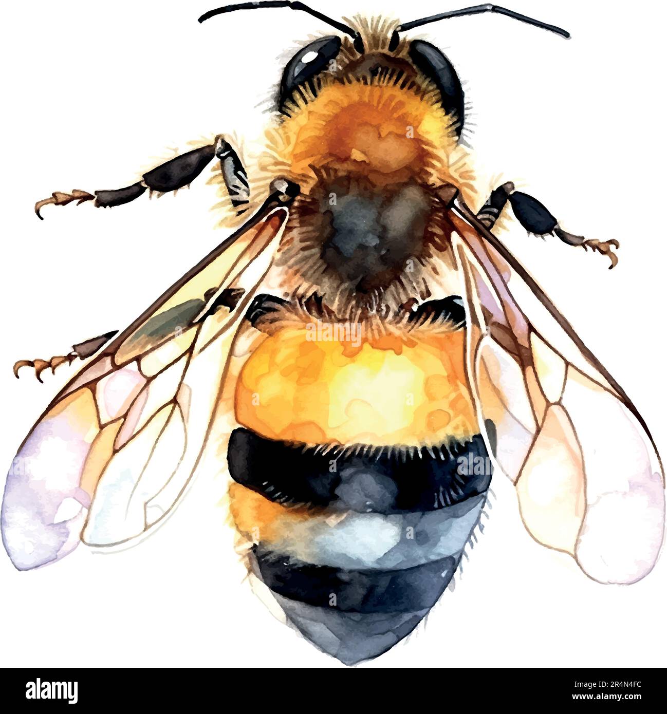 Colorful bee watercolor in beautiful style. Hand drawn vector ...