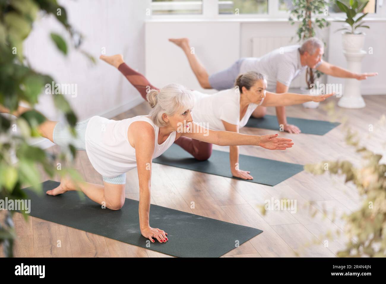 Mature women pushing up and being on hands and feet with straight body ...