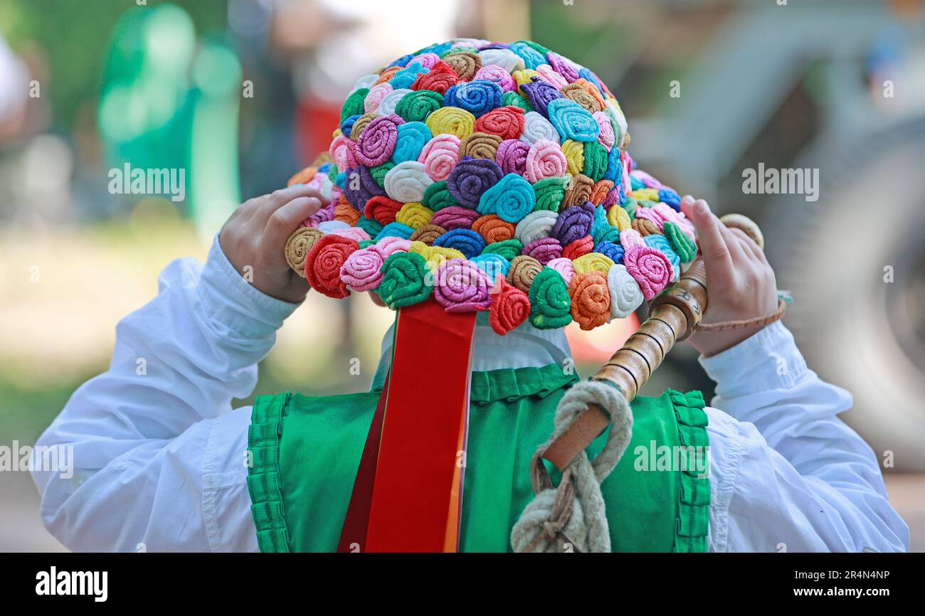 Pig stand drive in hi-res stock photography and images - Alamy