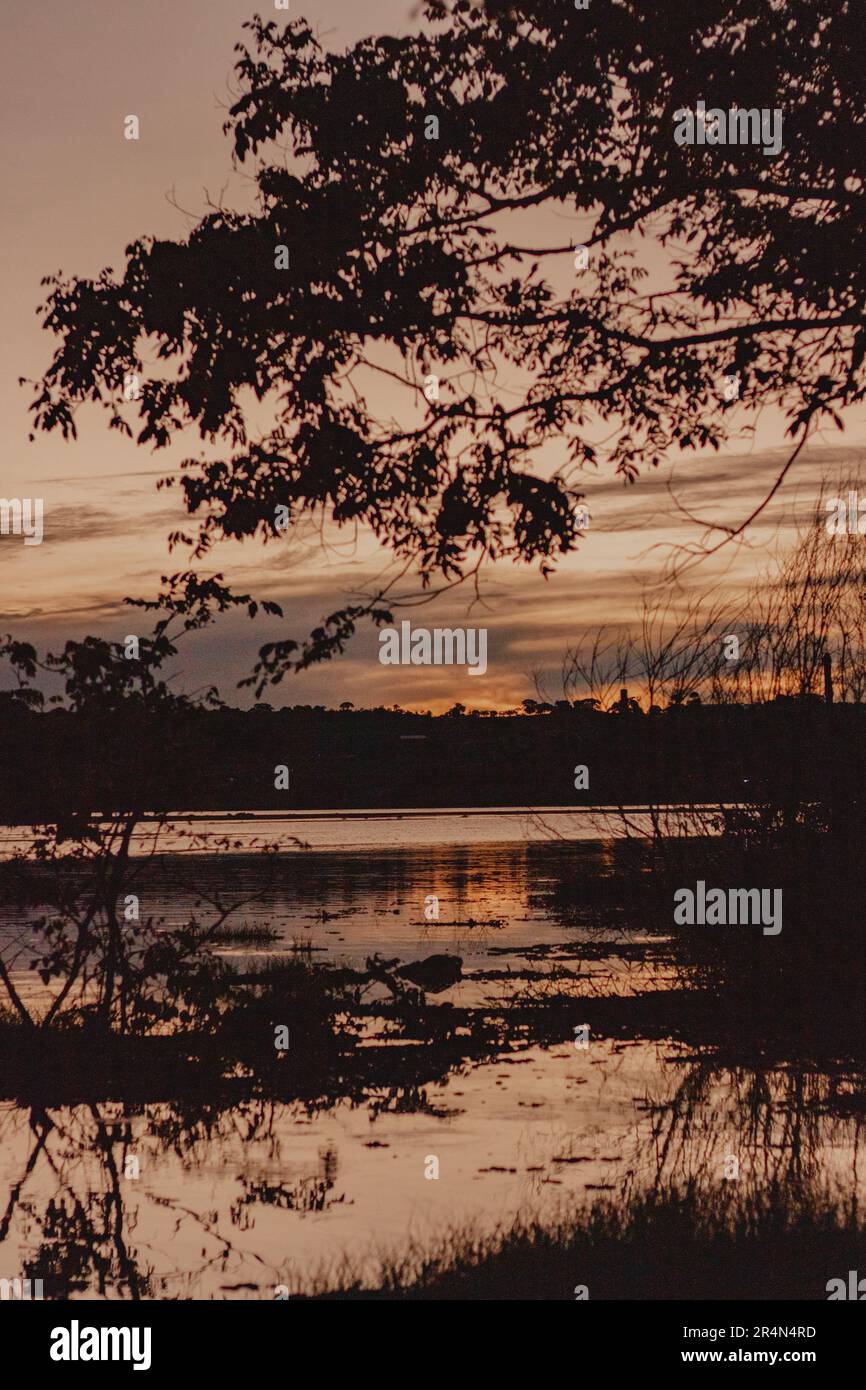 landscape of the sun going down in the river Stock Photo - Alamy