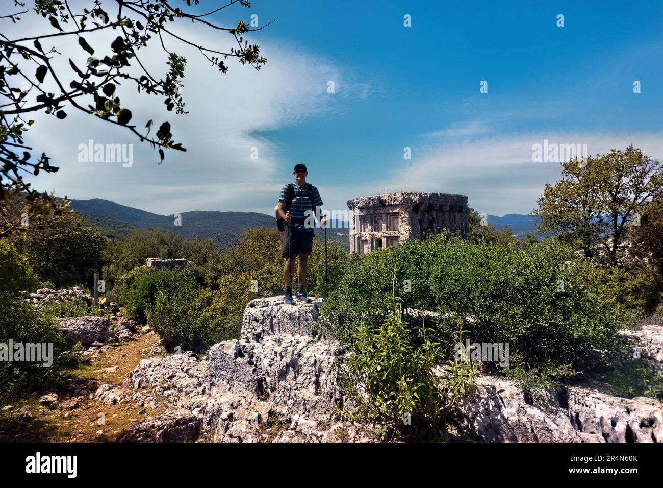 Phellus hi-res stock photography and images - Alamy