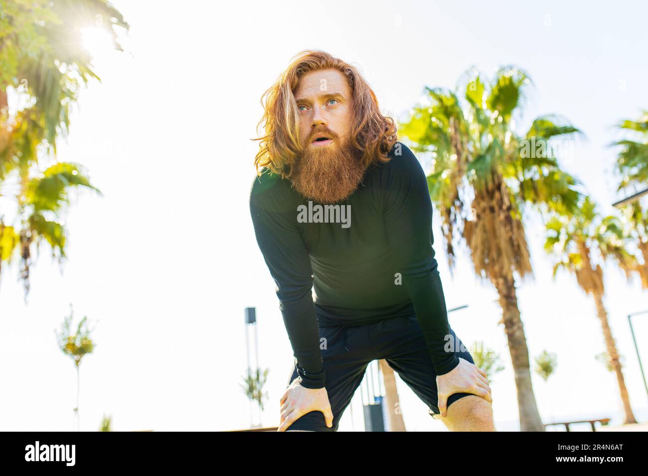 handsome redhaireb man with long beard wear black sporty suit and ...