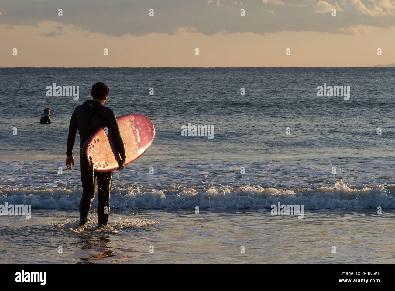 A surfer carrying a surf board in to the sea on a beach in Kamakura ...