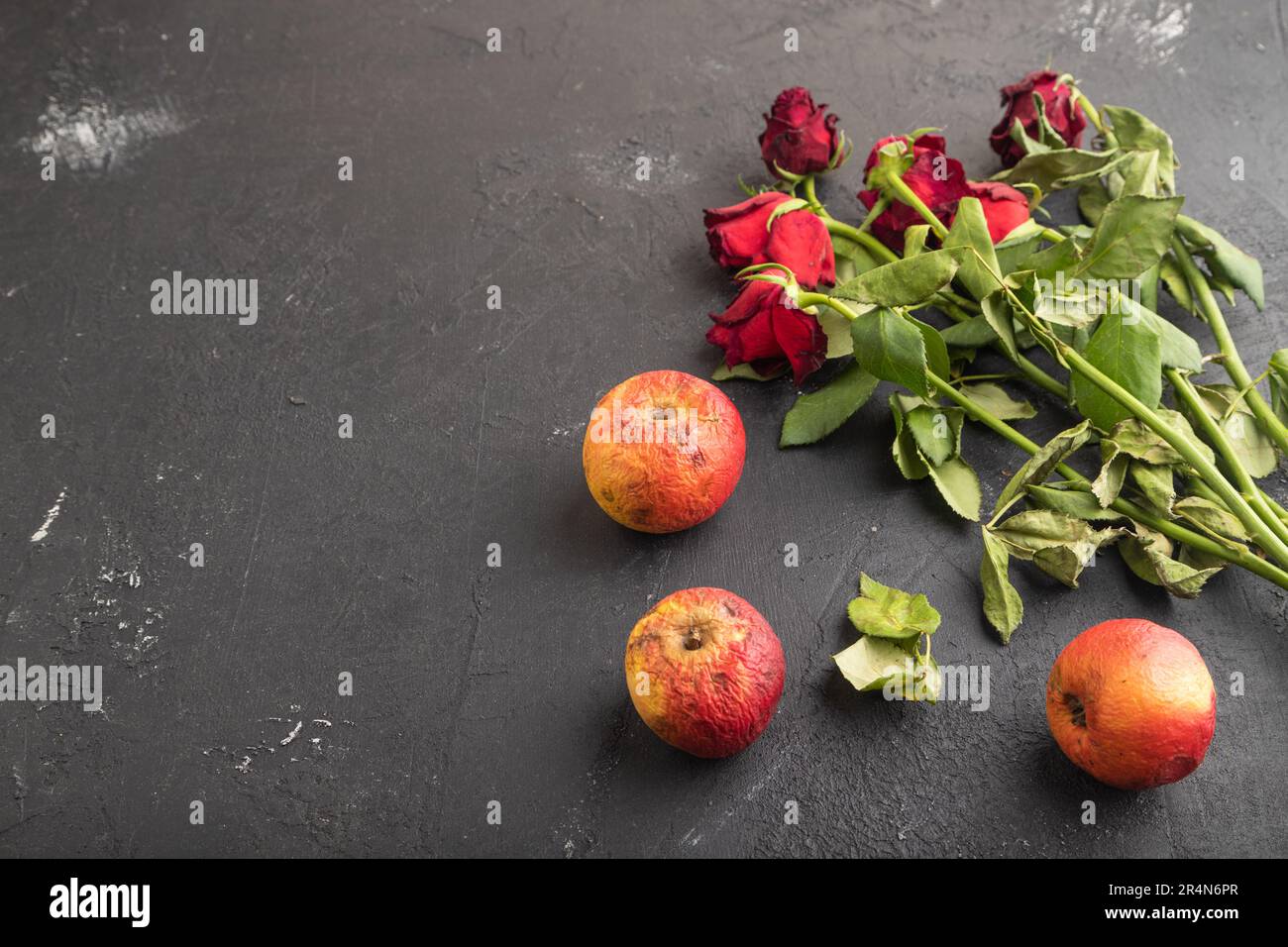 Withered, decaying, roses flowers and apples on black concrete ...