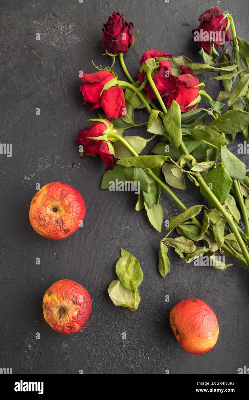 Withered, decaying, roses flowers and apples on black concrete ...