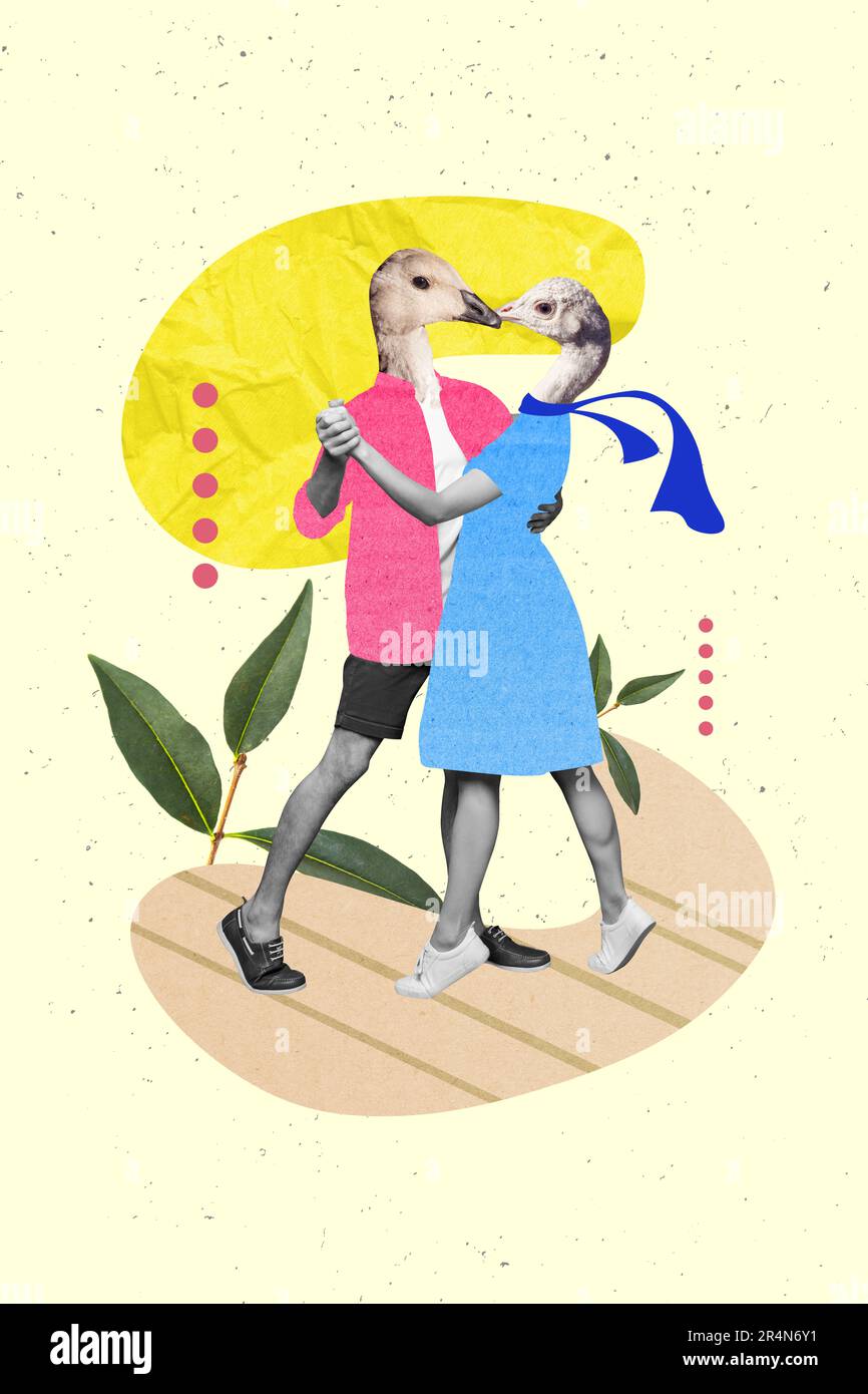 Vertical photo creative collage illustration of two animals birds mask ...