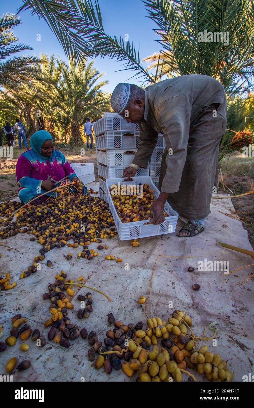 Moroccan farming family hi-res stock photography and images - Alamy