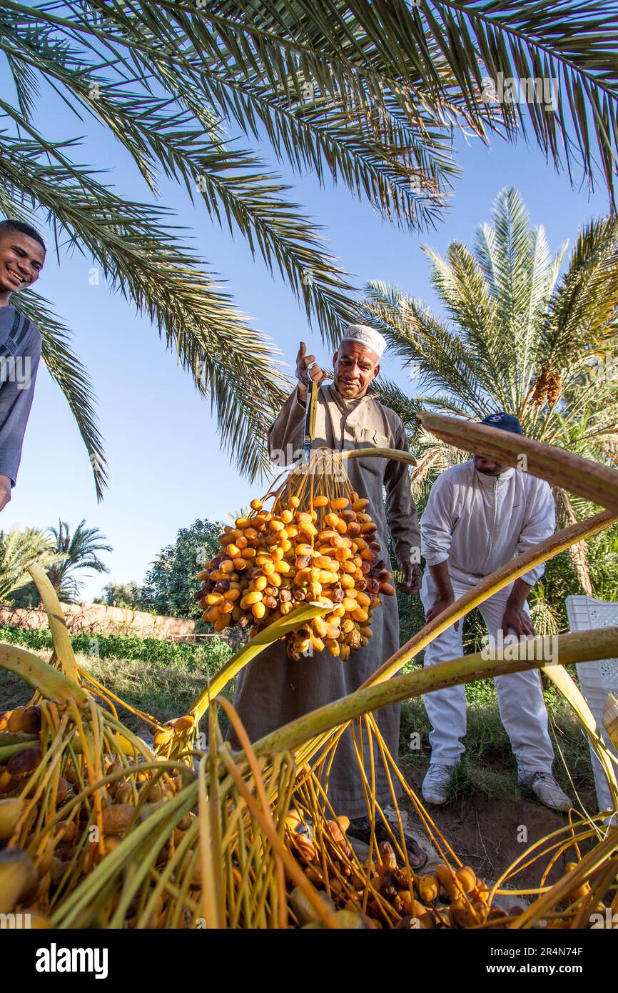 Moroccan family farmers hi-res stock photography and images - Alamy