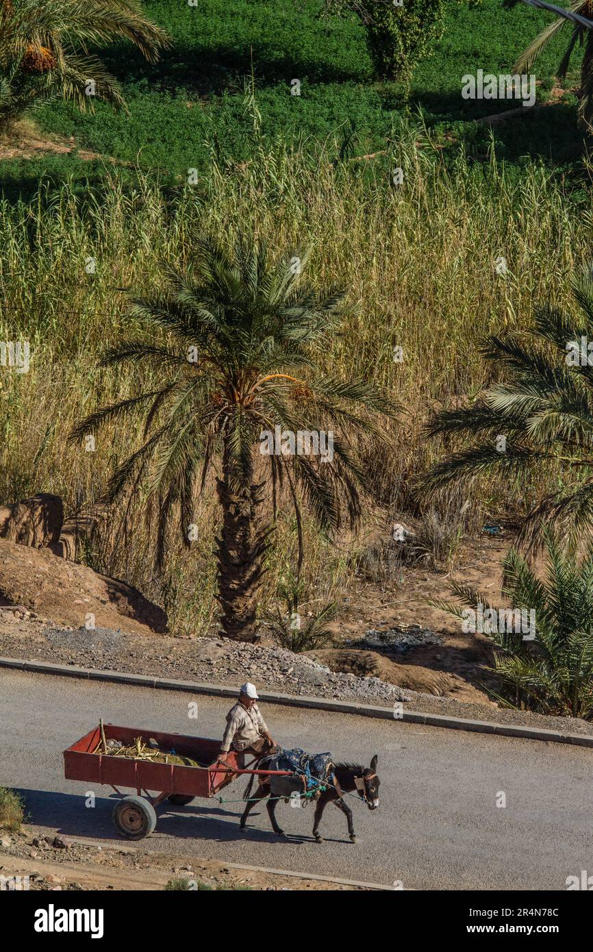 Depiction of Rural Living in a Village Surrounding Agdz's Palm Grove in ...