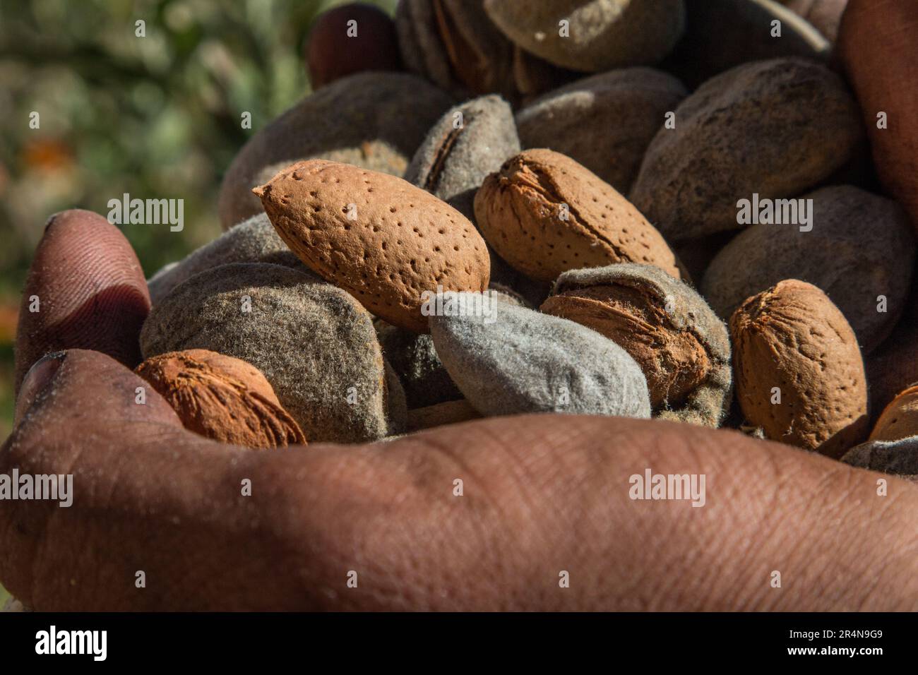 Fresh moroccan hi-res stock photography and images - Alamy