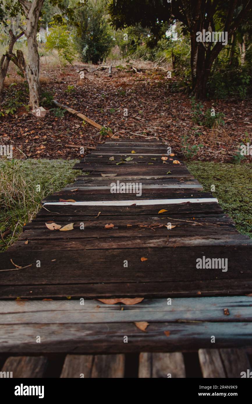 old wooden path Stock Photo - Alamy