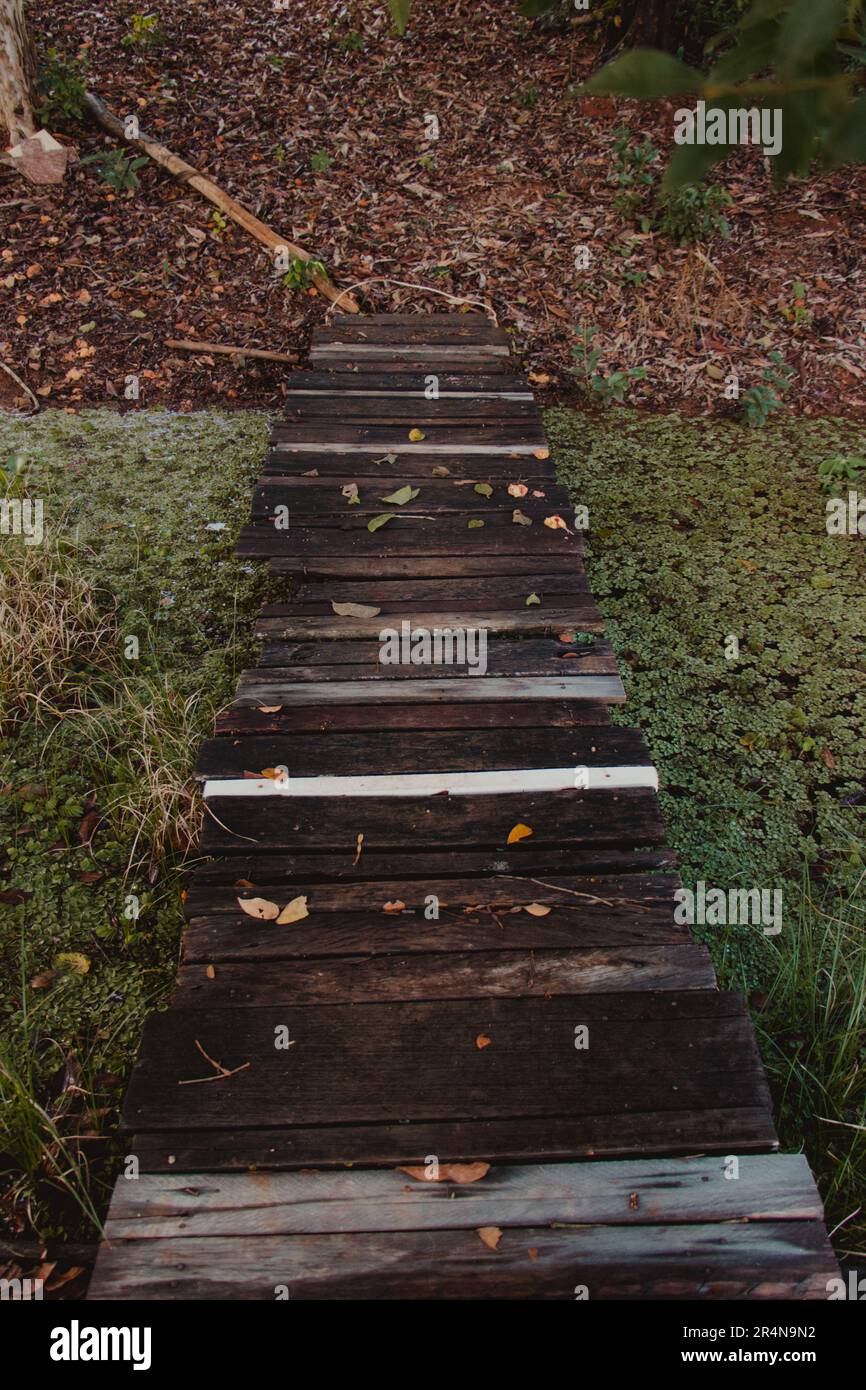 rustic wooden path Stock Photo - Alamy