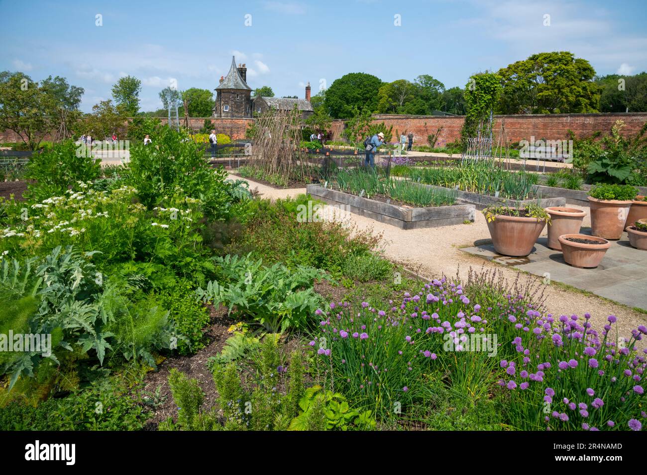 The Kitchen garden at RHS Bridgewater, Worsley Greater Manchester ...