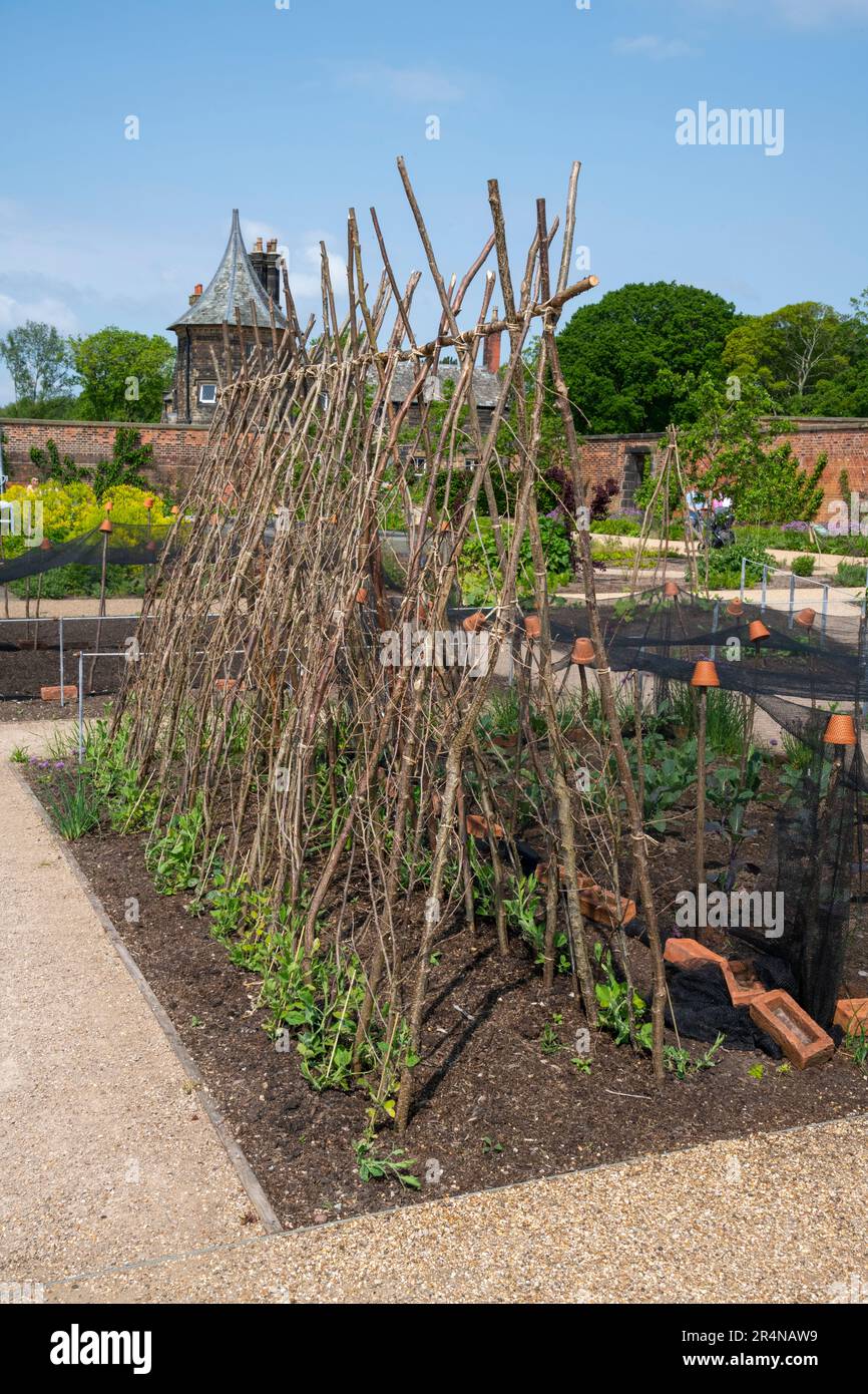 The Kitchen garden at RHS Bridgewater, Worsley Greater Manchester ...