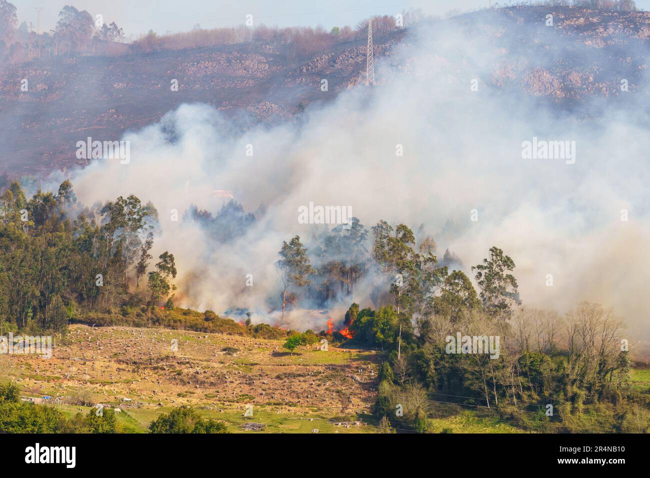 Flame and smoke of a mountain forest fire. Natural disaster in the wild ...