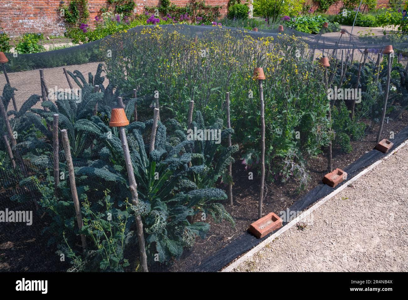 The Kitchen garden at RHS Bridgewater, Worsley Greater Manchester ...