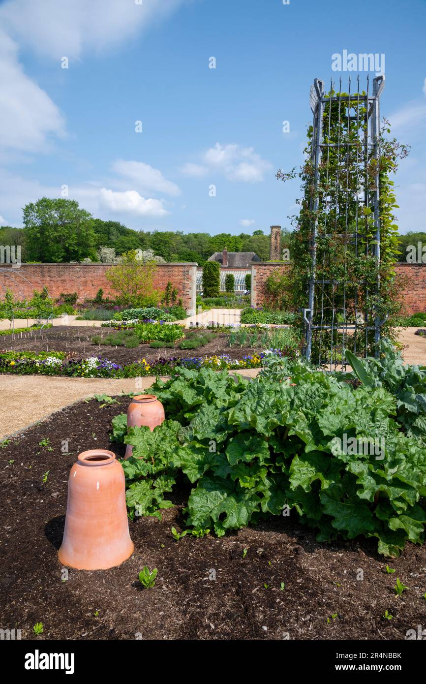 The Kitchen garden at RHS Bridgewater, Worsley Greater Manchester ...