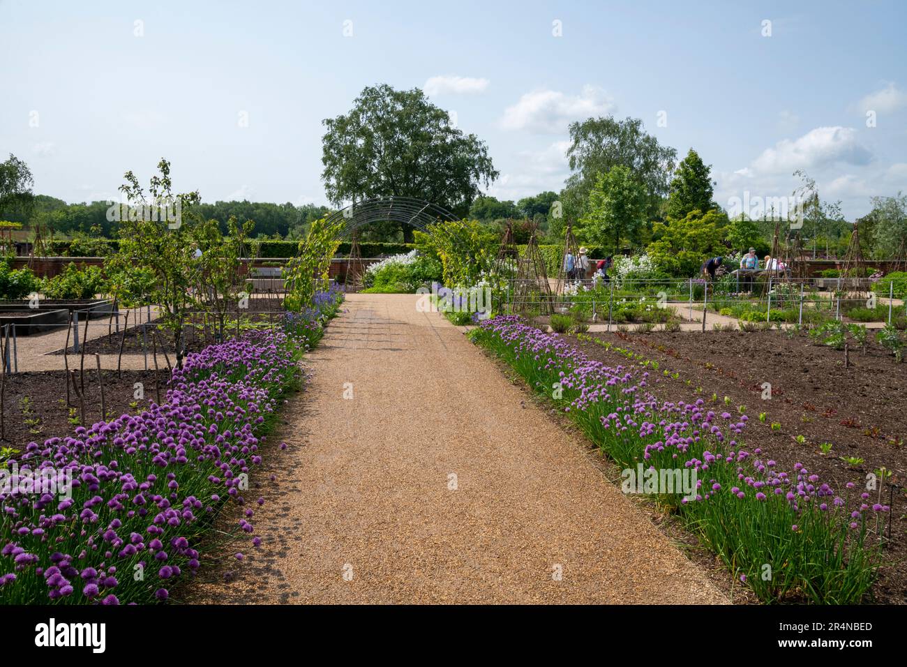 The Kitchen garden at RHS Bridgewater, Worsley Greater Manchester ...