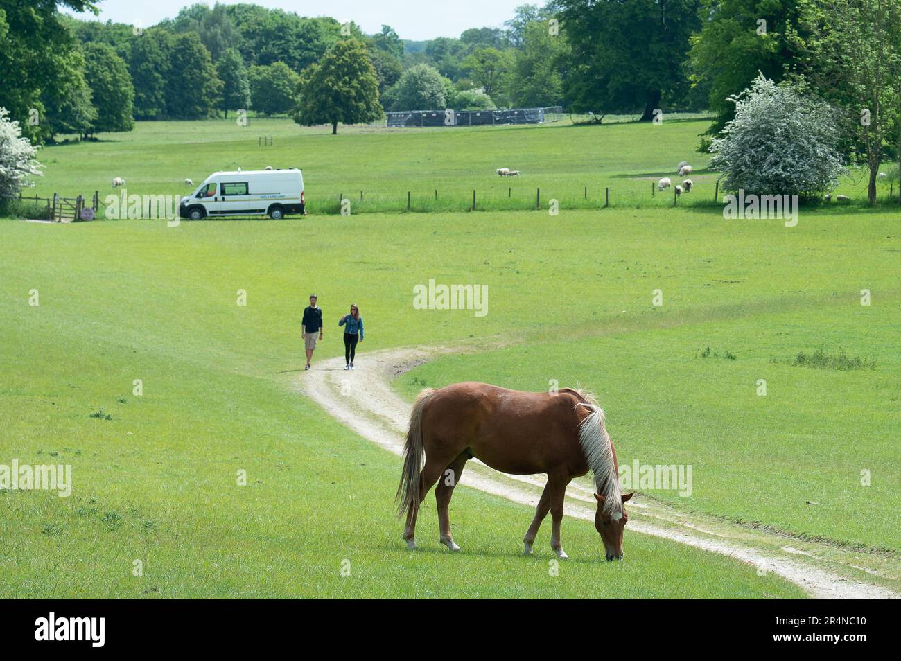 Amersham, Buckinghamshire, UK. 29th May, 2023. A large sinkhole above ...