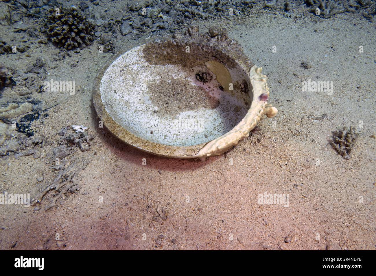 Cargo from the wreck of the Yolanda at the tip of the Sinai Peninsula ...