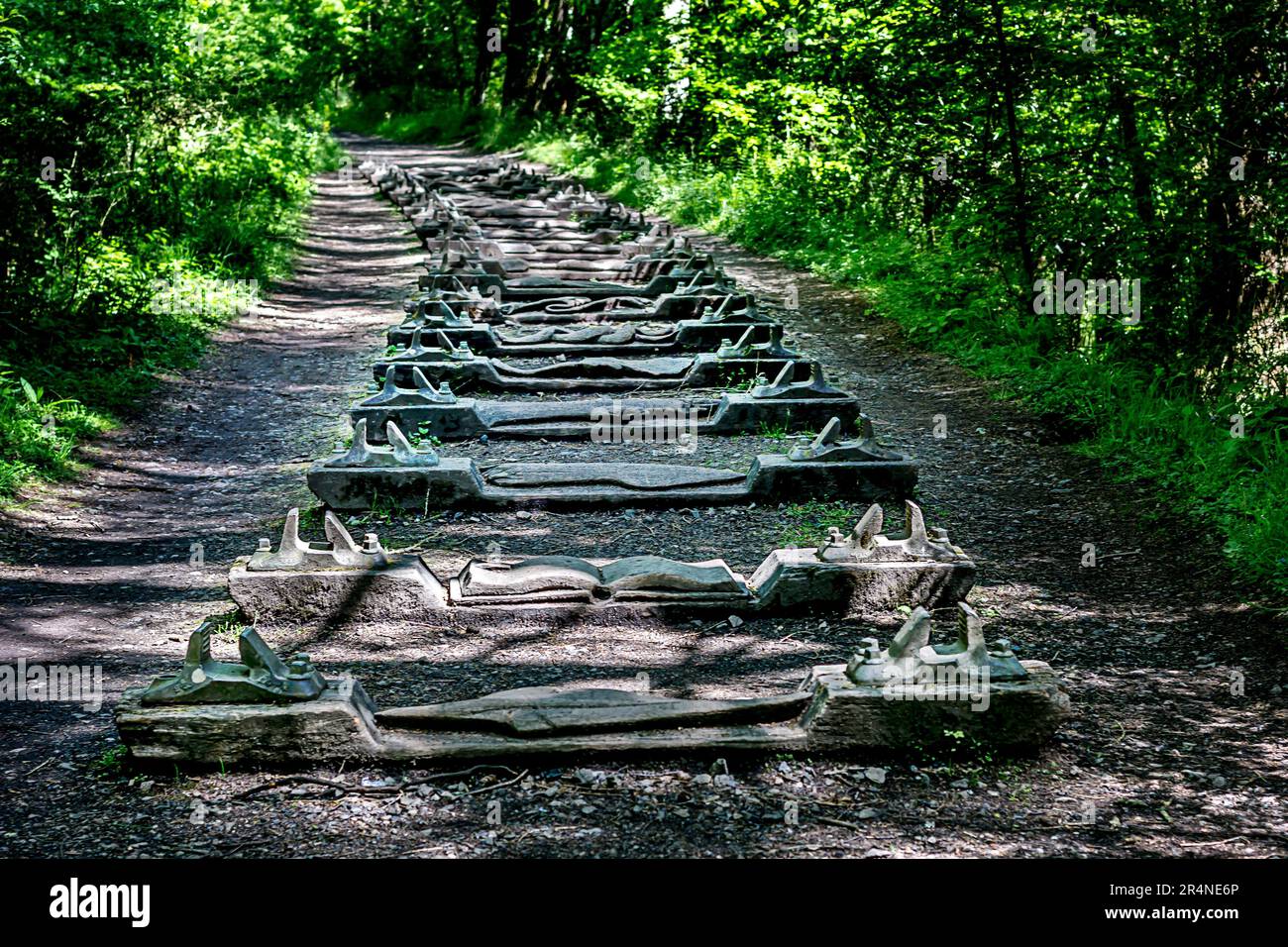 Sculpture Trail Forest of Dean. Iron Road, Beechenhurst Stock Photo - Alamy
