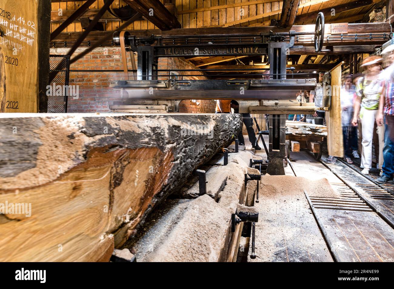 Straupitz, Germany. 29th May, 2023. A tree trunk lies in the sawmill of ...