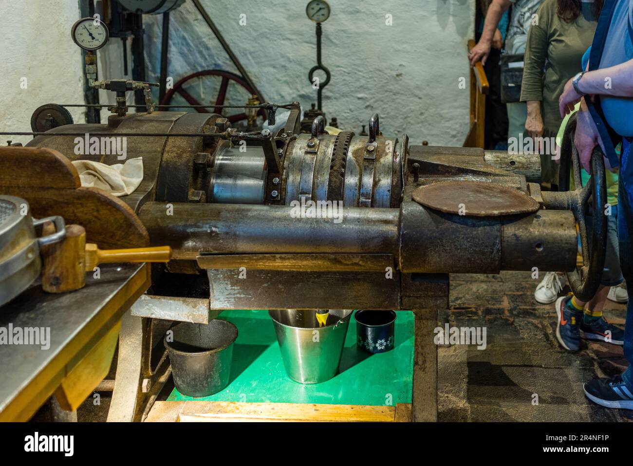Straupitz, Germany. 29th May, 2023. Linseed oil, which is pressed from ...