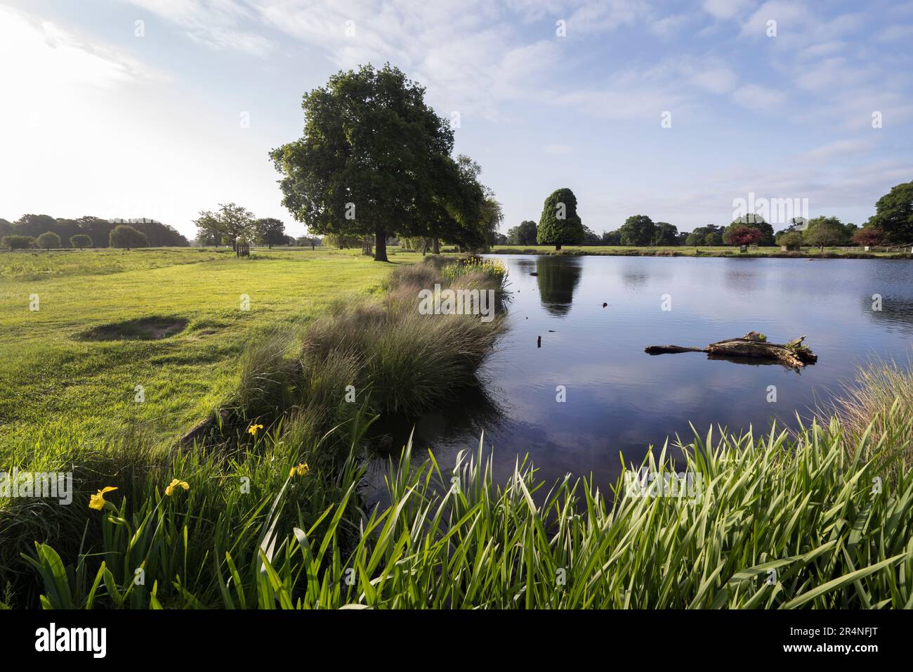 Bright morning sun hi-res stock photography and images - Alamy