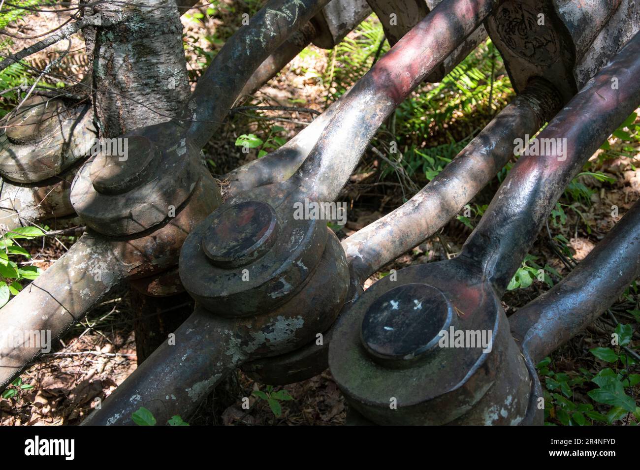 Historic Alexandra Bridge cable anchors in Spuzzum, British Columbia ...