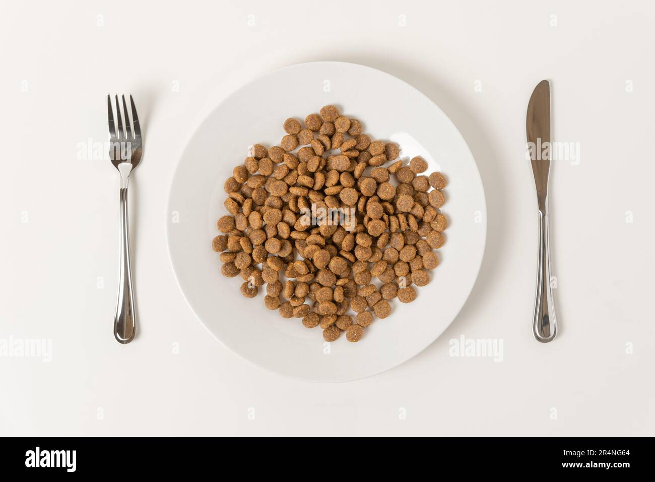 Dry animal food in a white ceramic plate served with knife and fork on ...