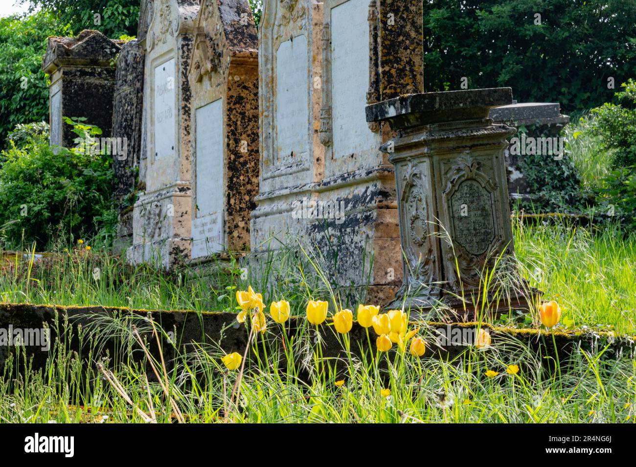 The cemetery of Saint-Hilaire at Marville dates back to Merovingian ...