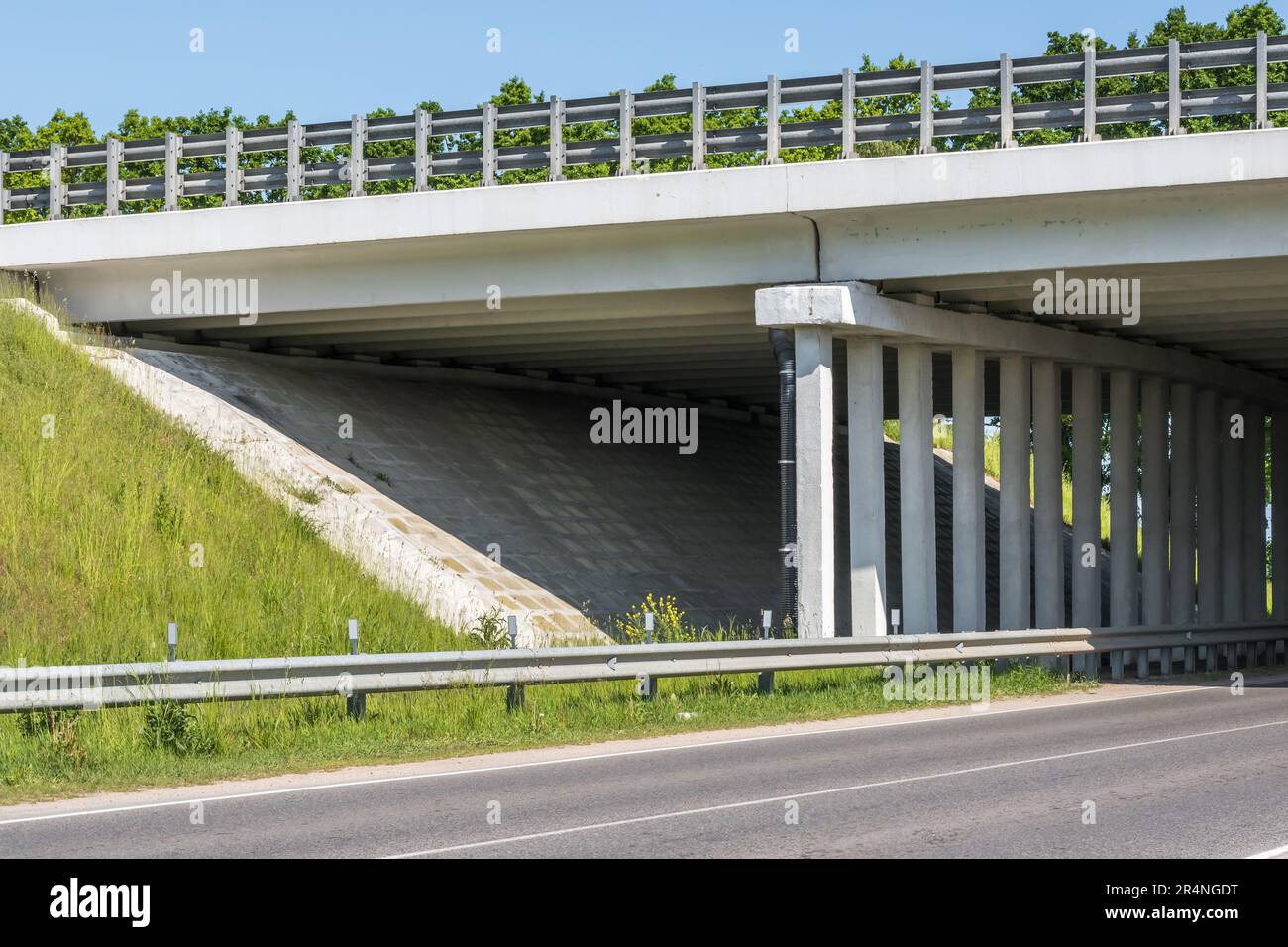 concrete columns like pillars of an automobile bridge Stock Photo - Alamy