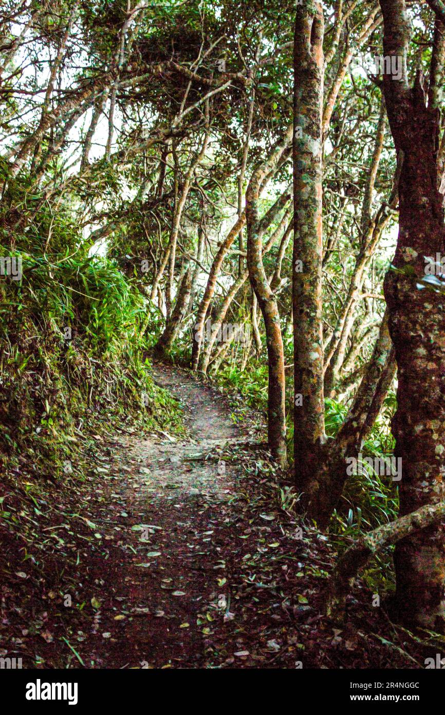 Garden route south africa hiking hi-res stock photography and images ...