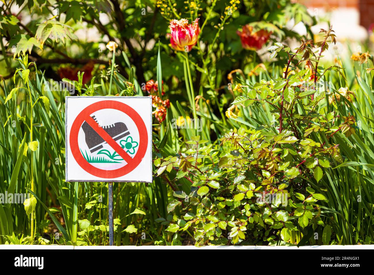 city flower bed with a sign forbidding trampling on flowers. trample ...