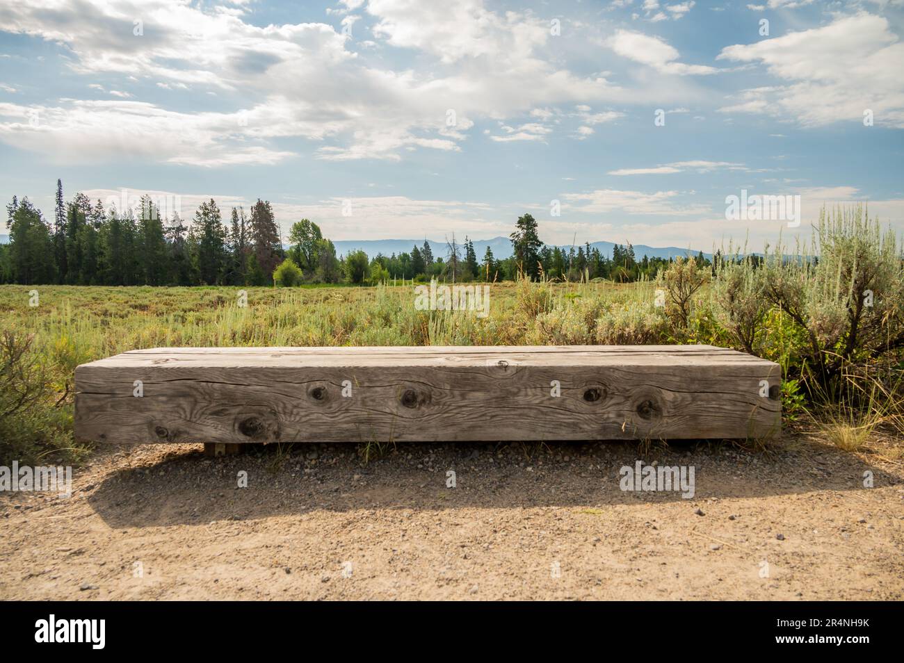 Large Wooden Slab Makes A Bench On Side Of Trail in Grand Teton ...