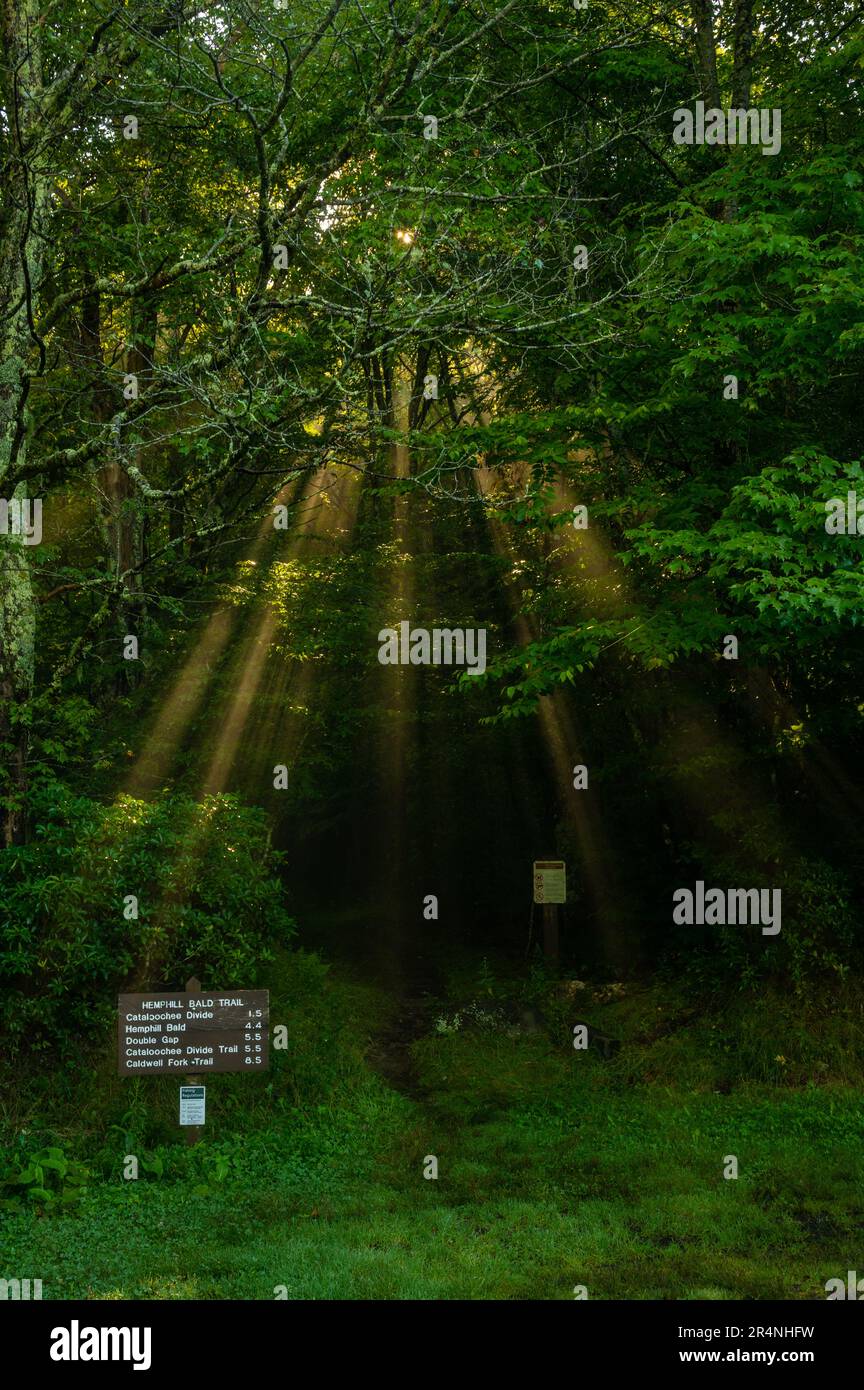 Hemphill hi-res stock photography and images - Alamy