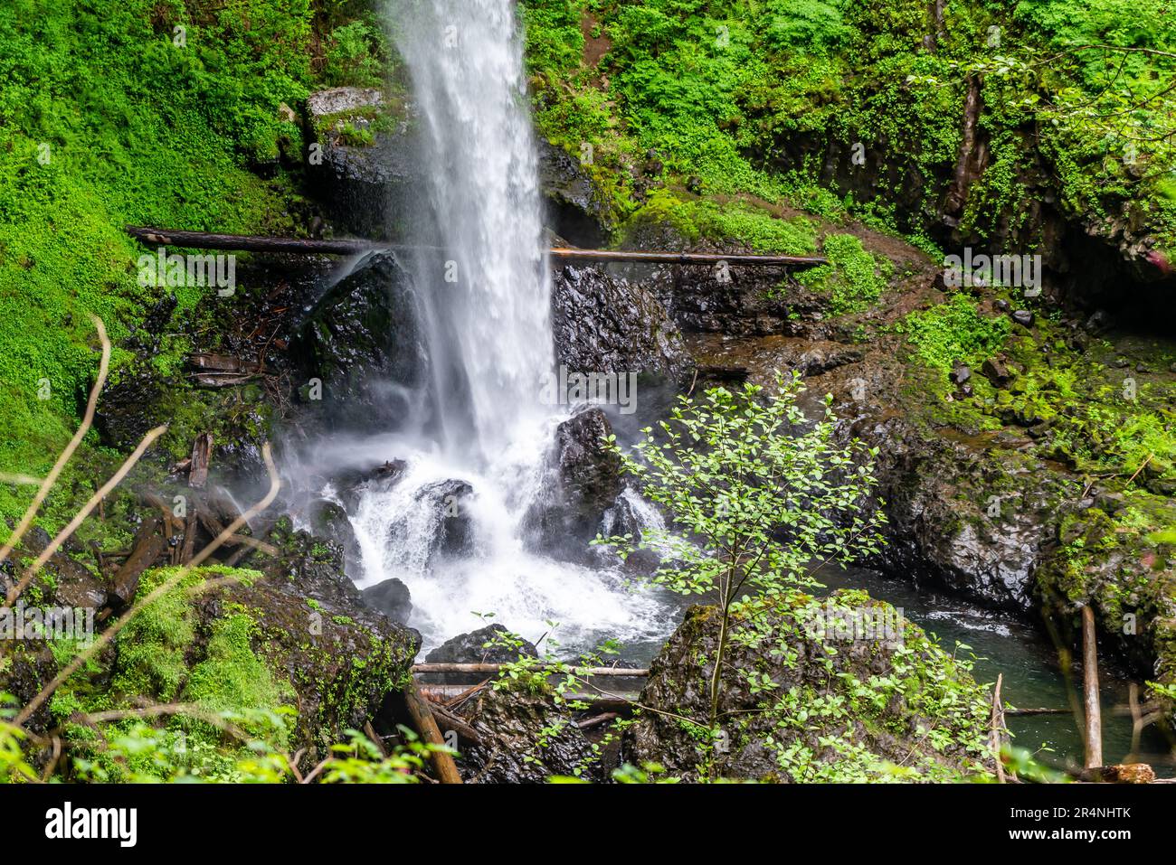 The bottom of Lower North Falls at Silver Falls State Park in Oregon ...