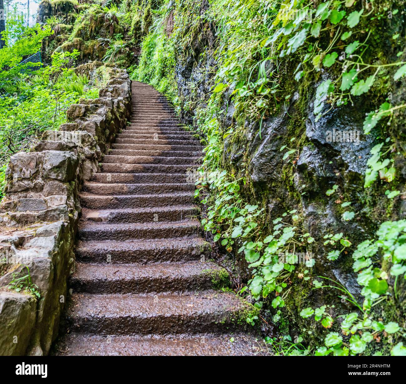 Steps at Lower North Falls at Silver Falls State Park in Oregon State ...