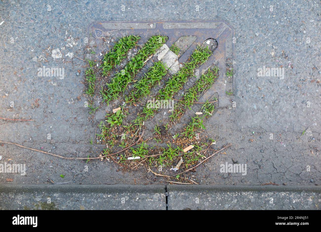 Blocked road drain hi-res stock photography and images - Alamy