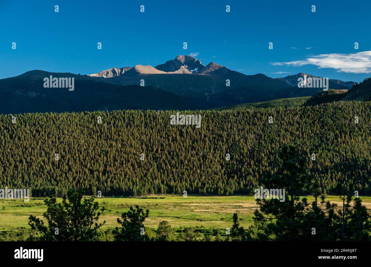 Moraine Park gives way to Longs Peak and the Edge of Vast Forest in ...