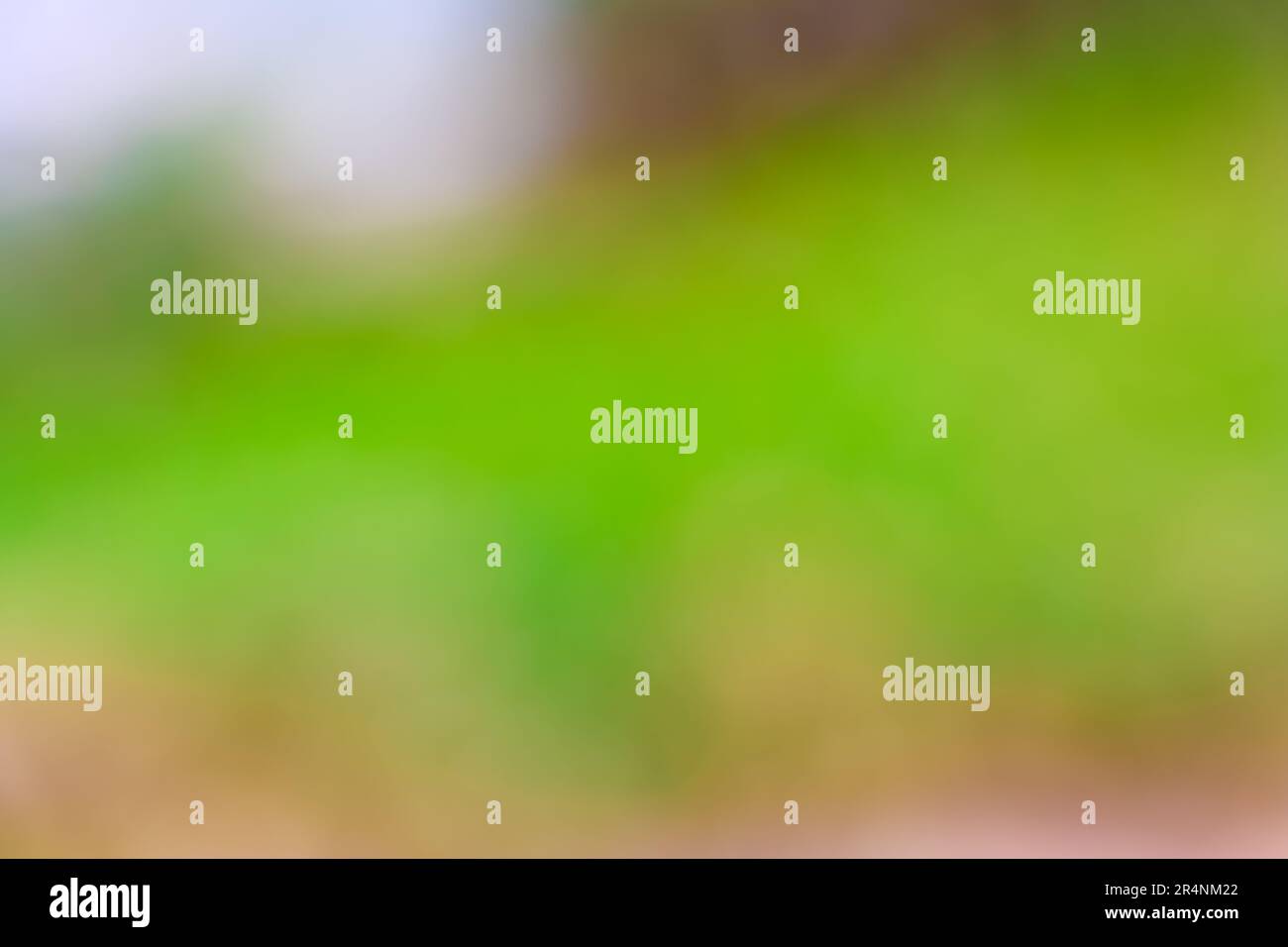 Beautiful blurred background image of spring nature,blur natural and ...