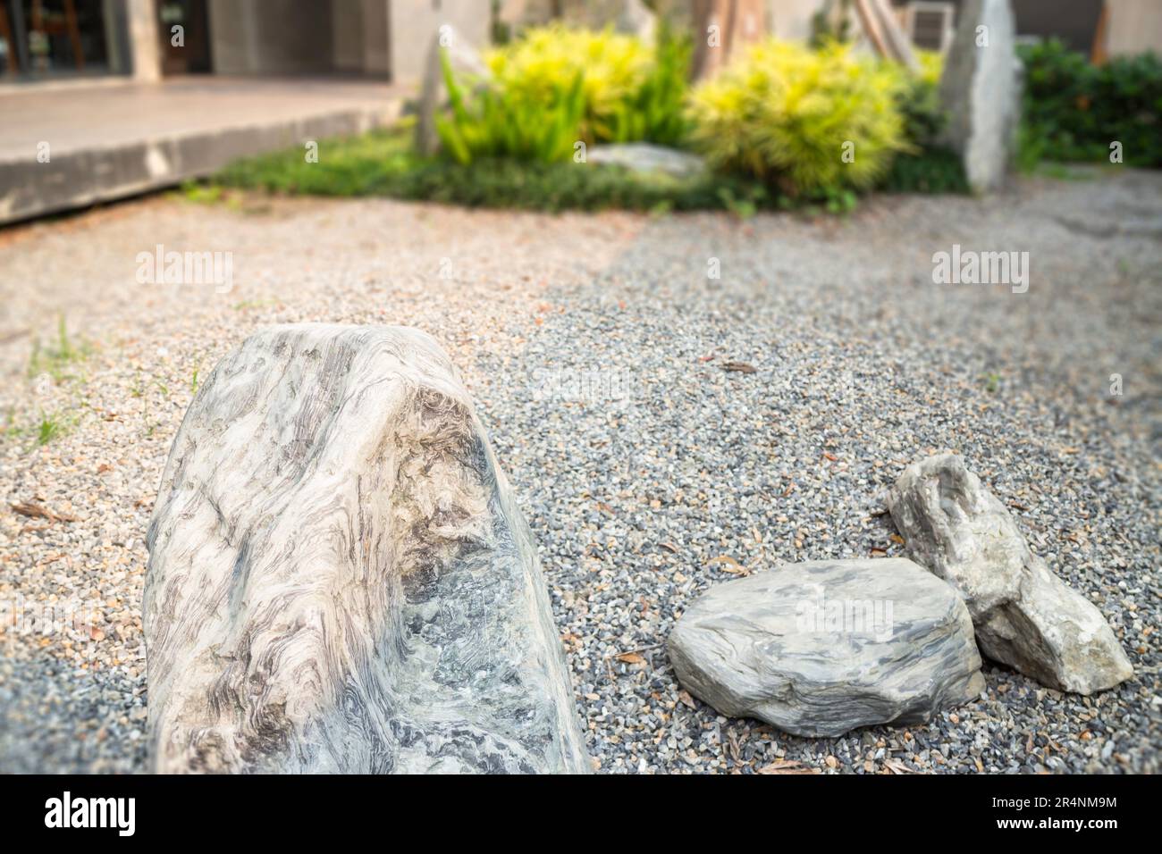 Olive tree in stone pebble garden, stock photo Stock Photo - Alamy