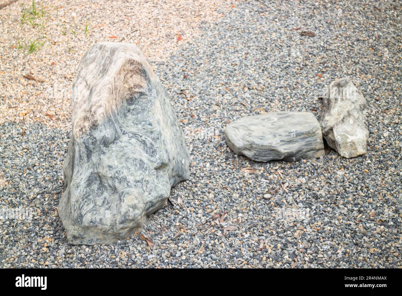 Olive tree in stone pebble garden, stock photo Stock Photo - Alamy