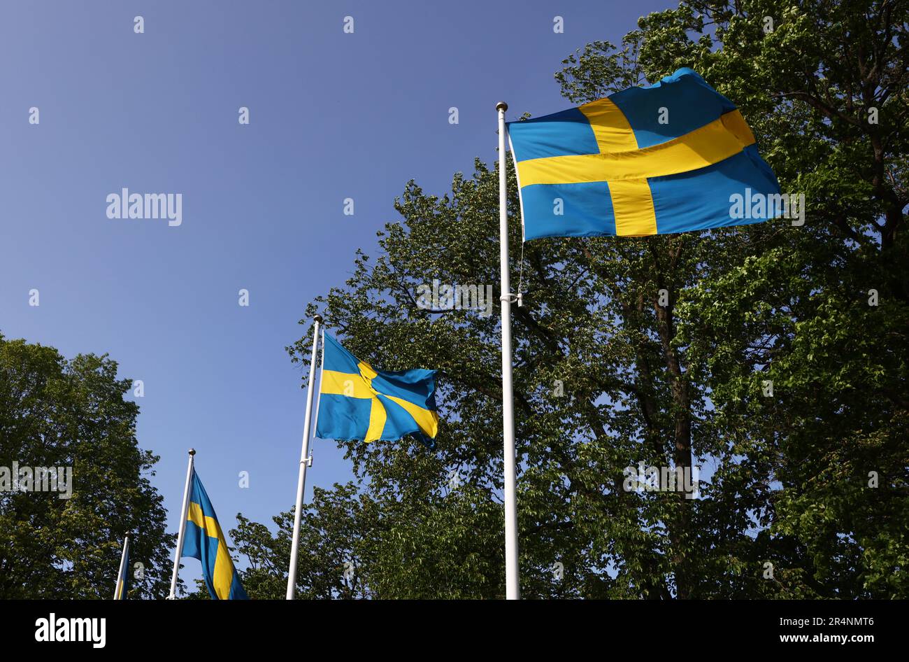 Swedish flags, Linköping, Sweden Stock Photo - Alamy