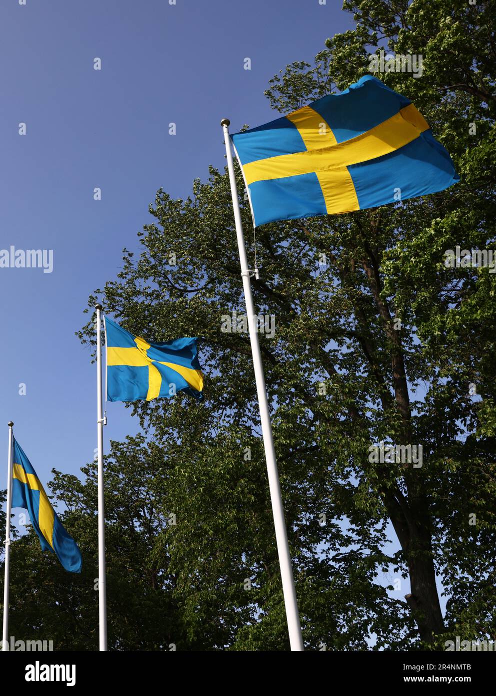 Sverigeflaggor hi-res stock photography and images - Alamy