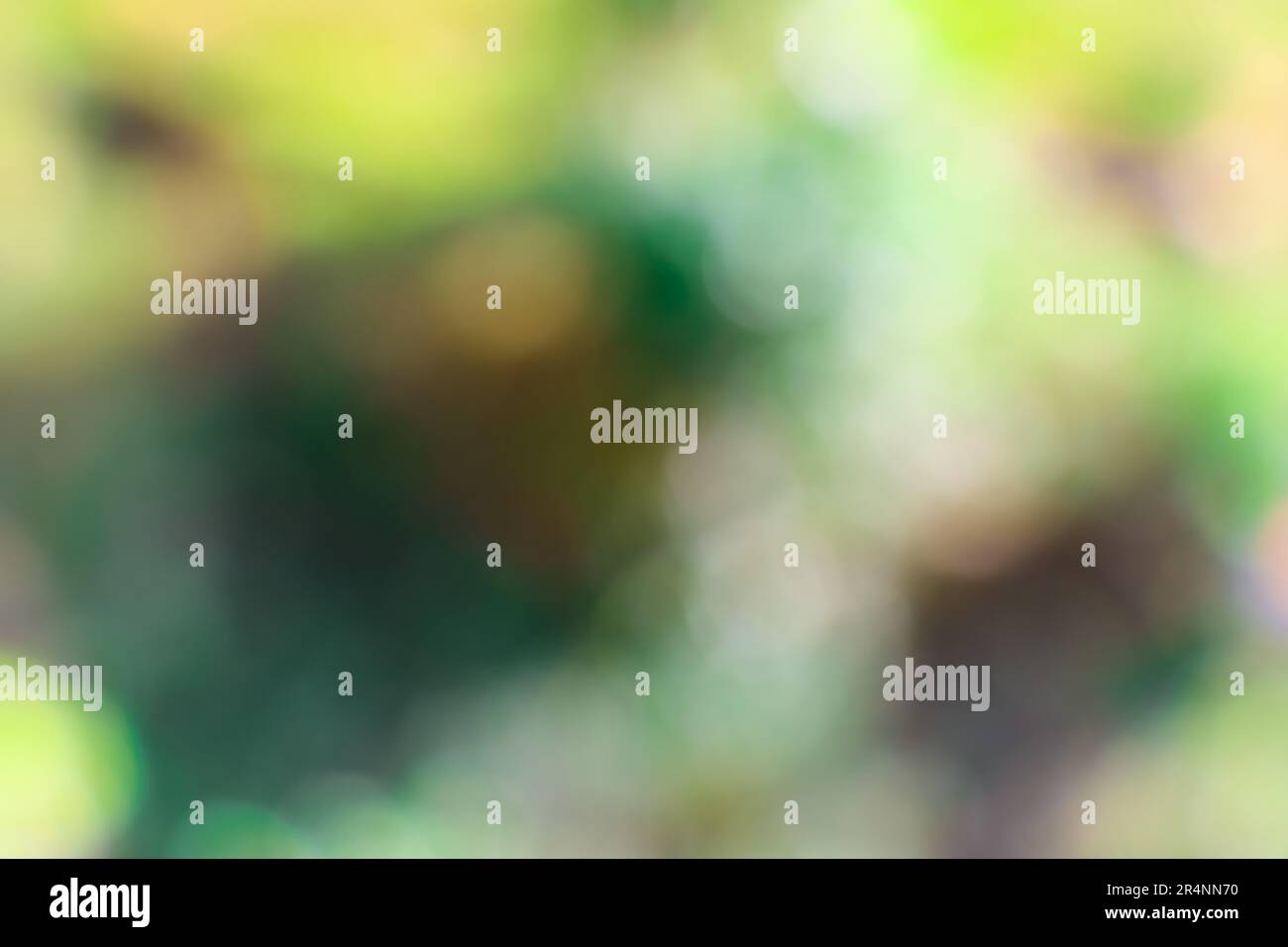 Green Nature Blur Background Hd Wallpaper